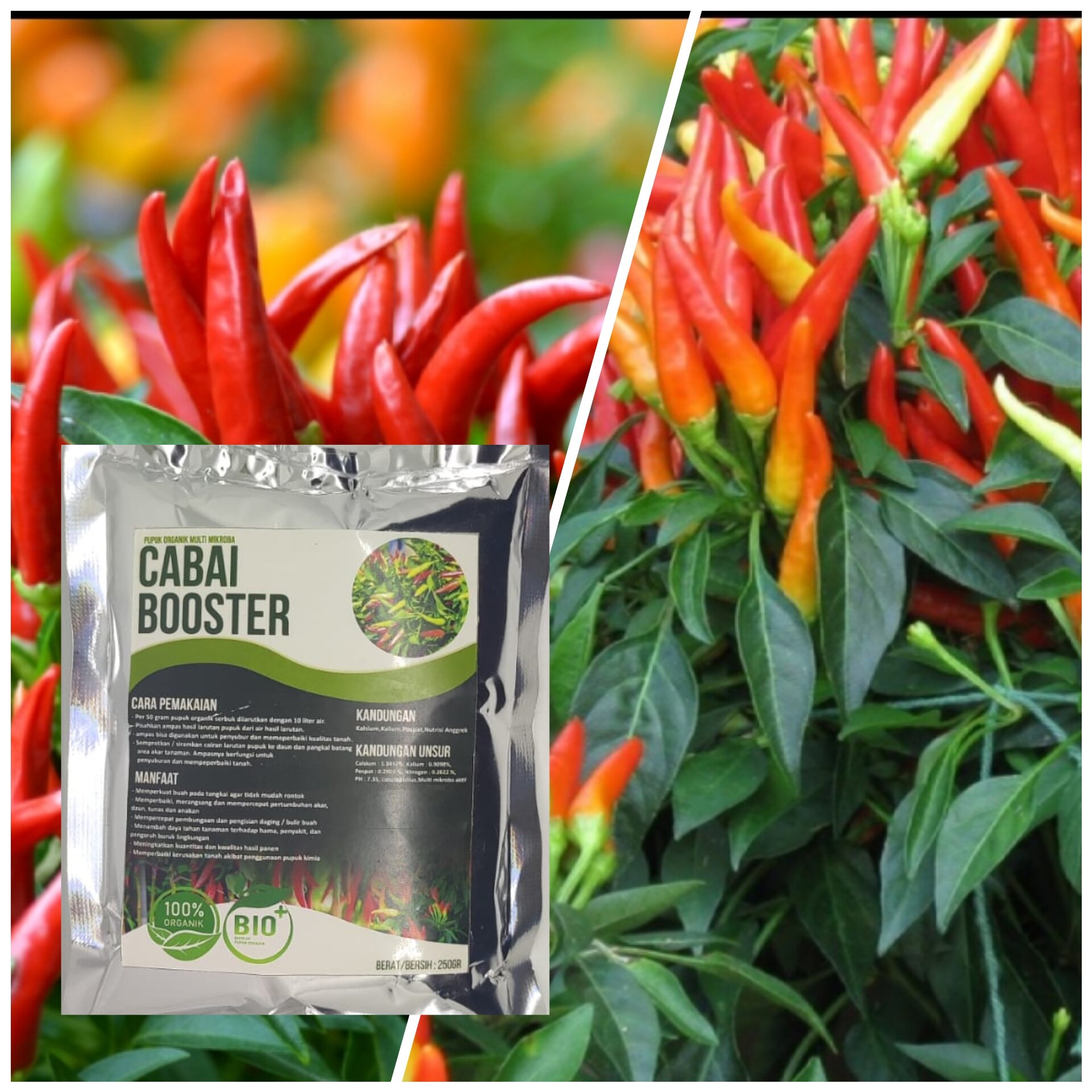 pupuk booster cabai penyubur dan pelebat buah serbuk | Lazada Indonesia