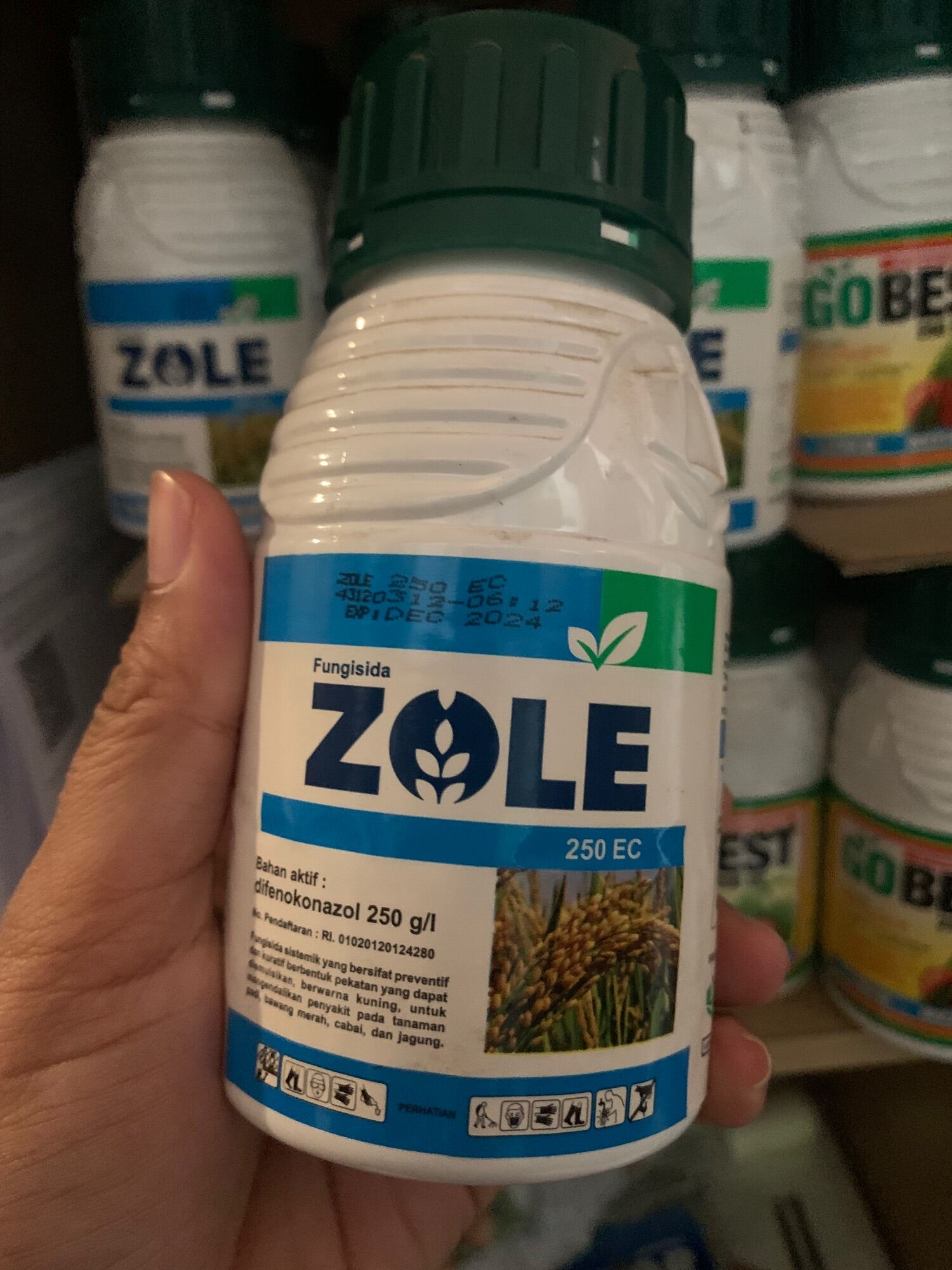 ZOLE FUNGISIDA 250EC UNTUK MENGENDALIKAN PENYAKIT PADA TANAMAN PADI ...