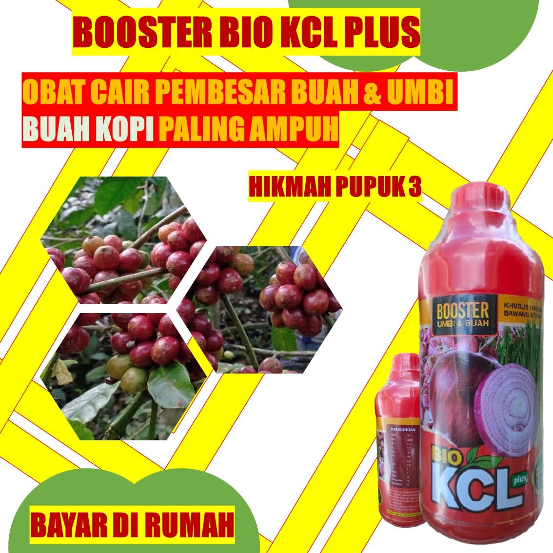 PUPUK KOPI BOOSTER TANAMAN PERKEBUNAN BUAH PALING BAGUS - BIO KCL Plus ...