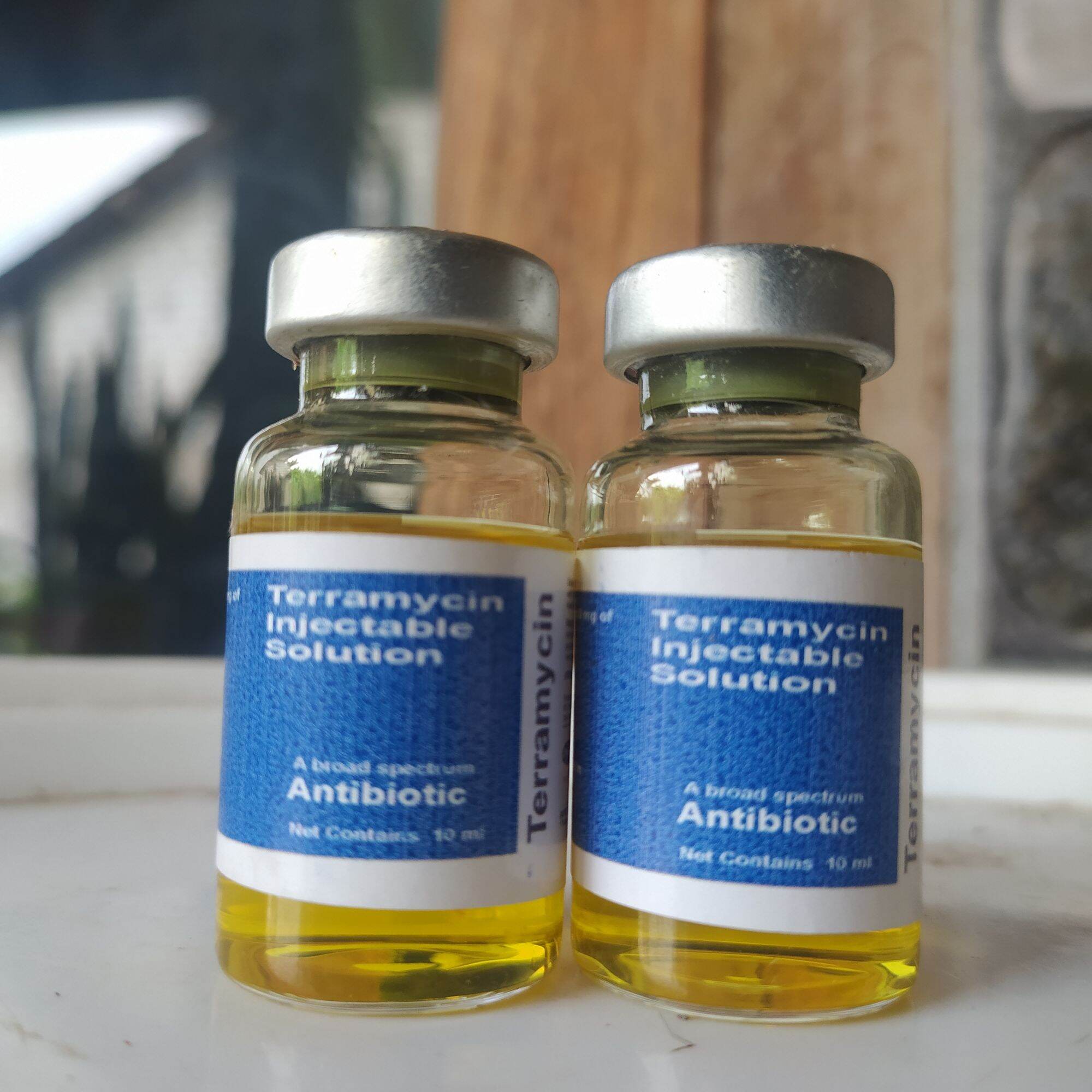 teramicin obat ayam 2 pcs | Lazada Indonesia