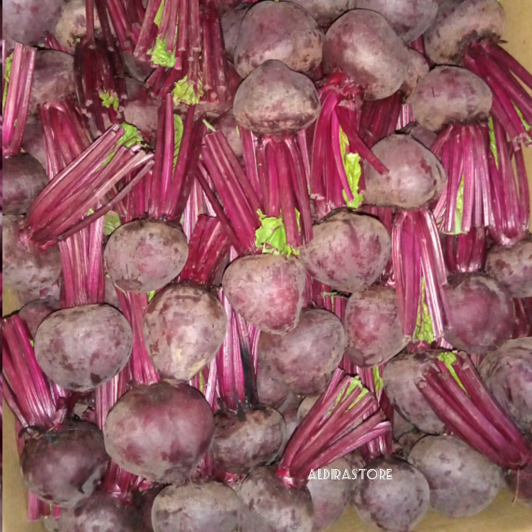 Buah Bit/Beet Root Fresh 1Kg | Lazada Indonesia