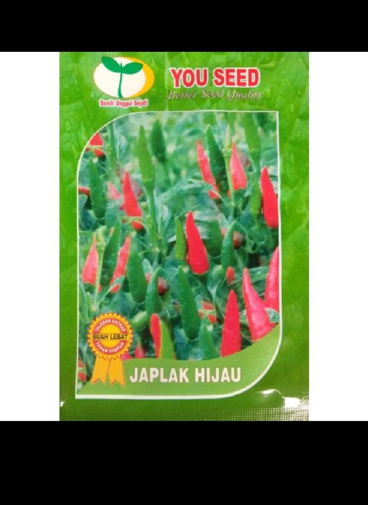 benih rawit japlak hijau repack 50 biji | Lazada Indonesia