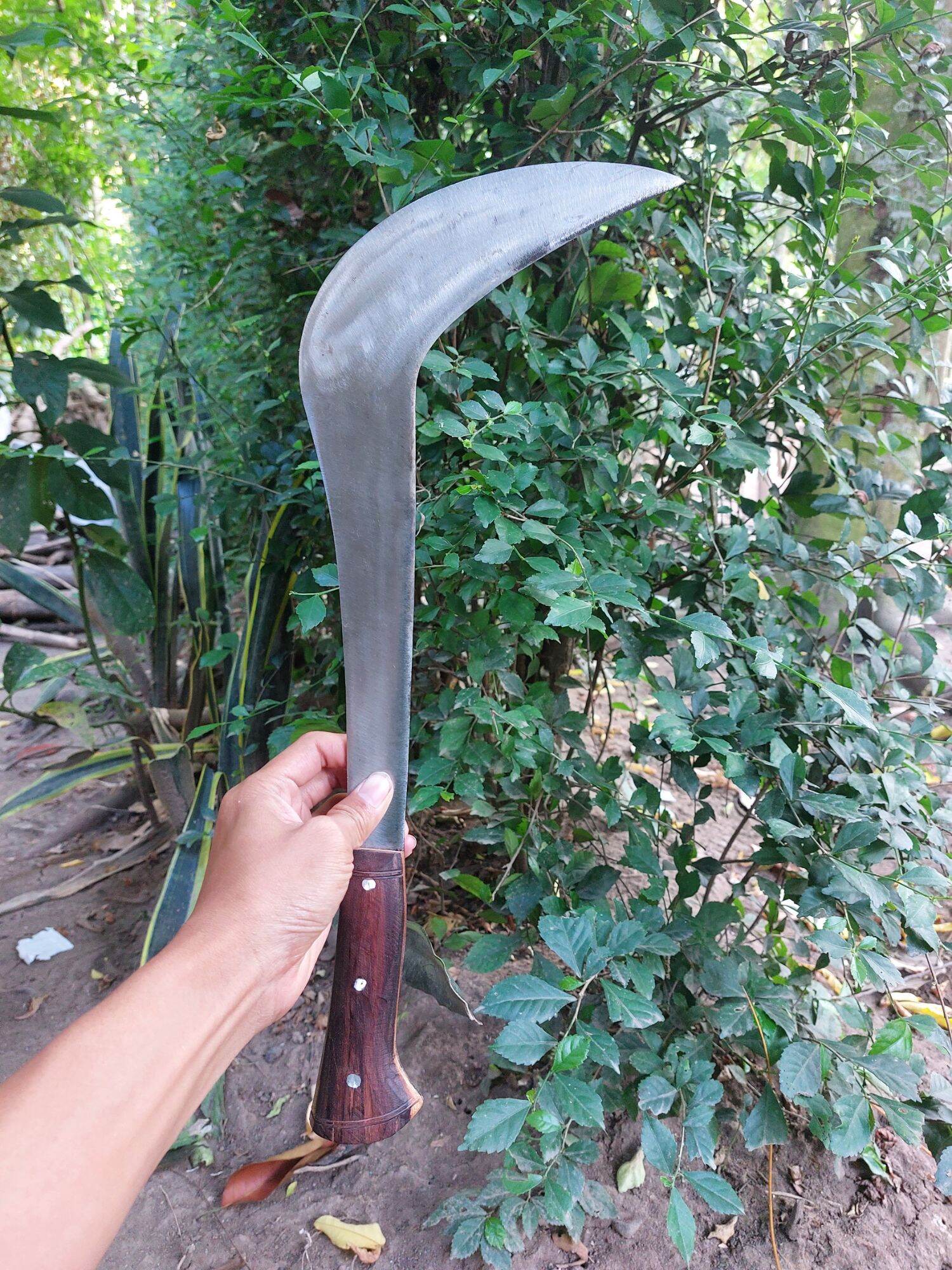 Arit rumput baja super khas jawa timur | Lazada Indonesia