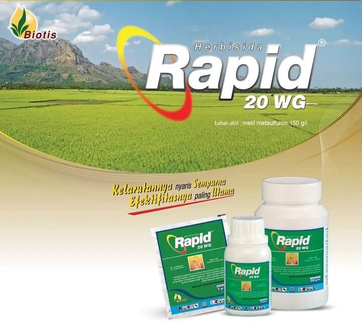 Herbisida RAPID 20 WG kemasan 5 gram | Lazada Indonesia