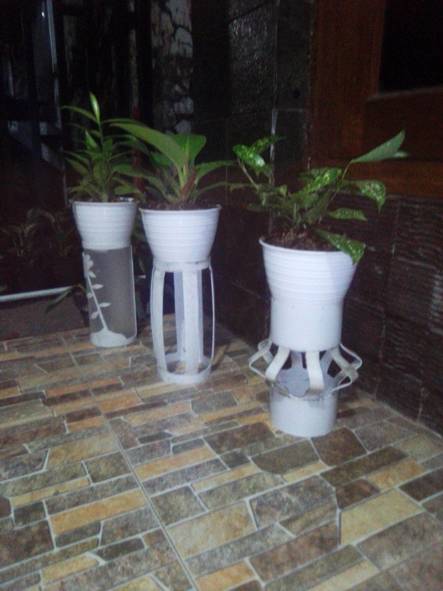 D3pot_tanaman Indonesia Toko Resmi Online | Beli Sekarang di Lazada