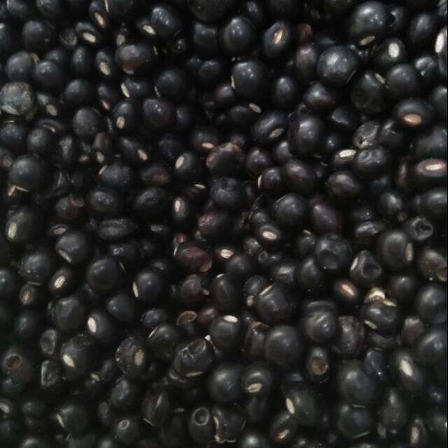 kacang gude//gude sayur | Lazada Indonesia