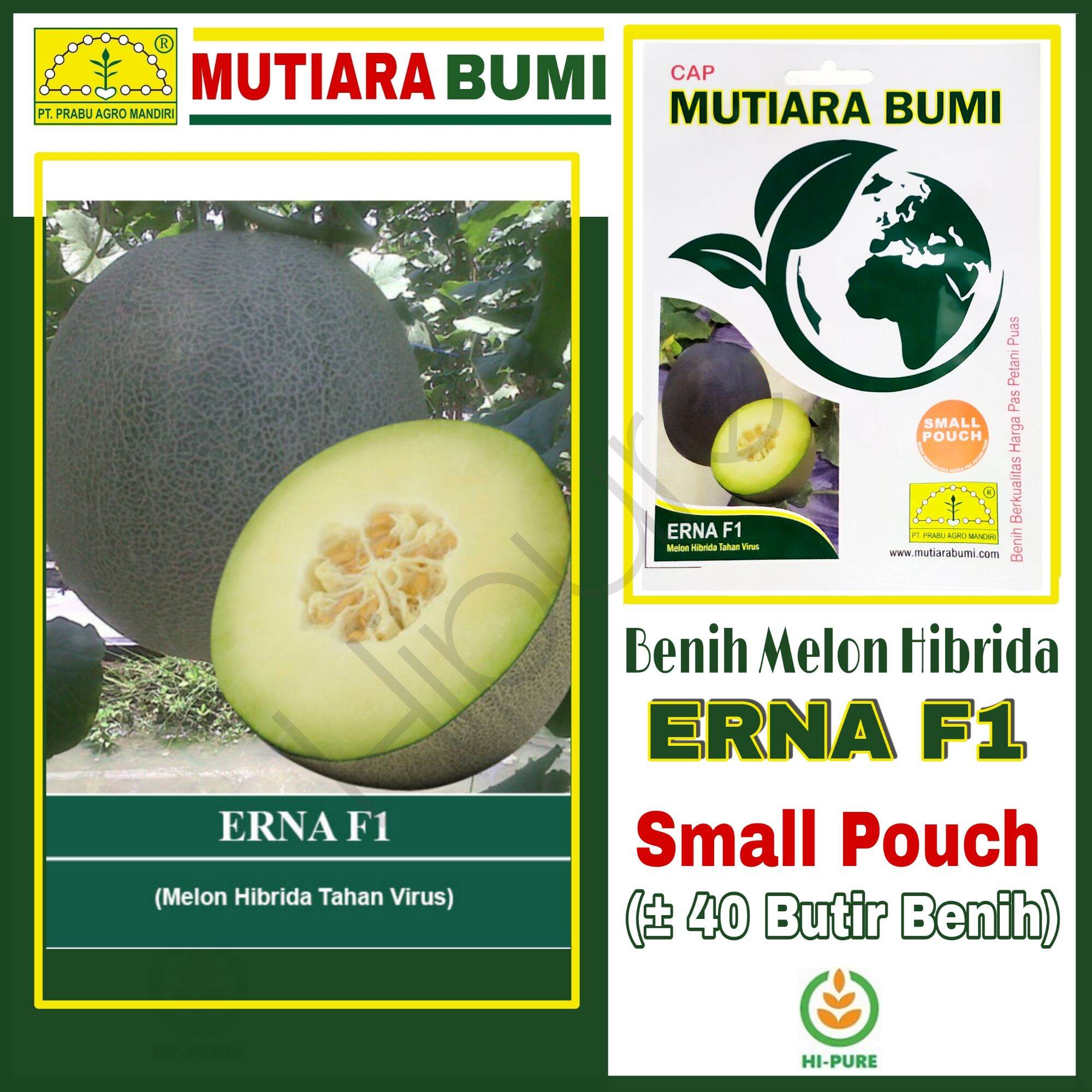 BENIH MELON HIBRIDA ERNA F1 ISI 40 BUTIR BENIH TAHAN GEMINI VIRUS CAP ...