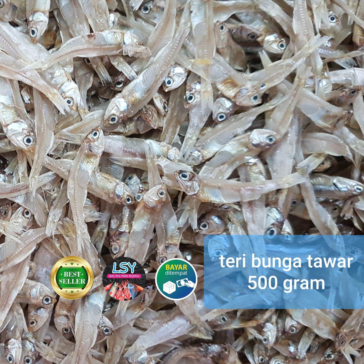 teri bunga tawar super 500gr | Lazada Indonesia