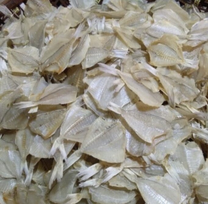 Ikan Asin kapas Tawar 1 kg | Lazada Indonesia