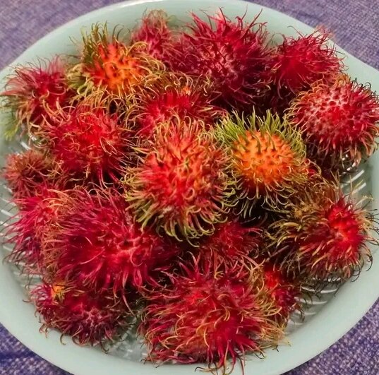 termurah rambutan merah matang manis segar 1kg | Lazada Indonesia