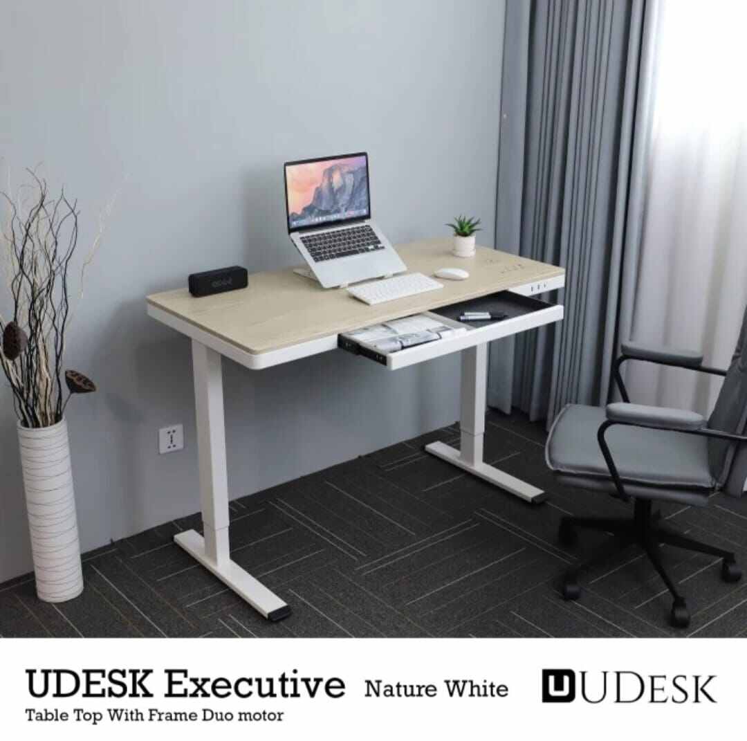 UDESK Executive Bundle Set-Electric Standing Desk with Table Top-Resi Wood | Lazada Indonesia