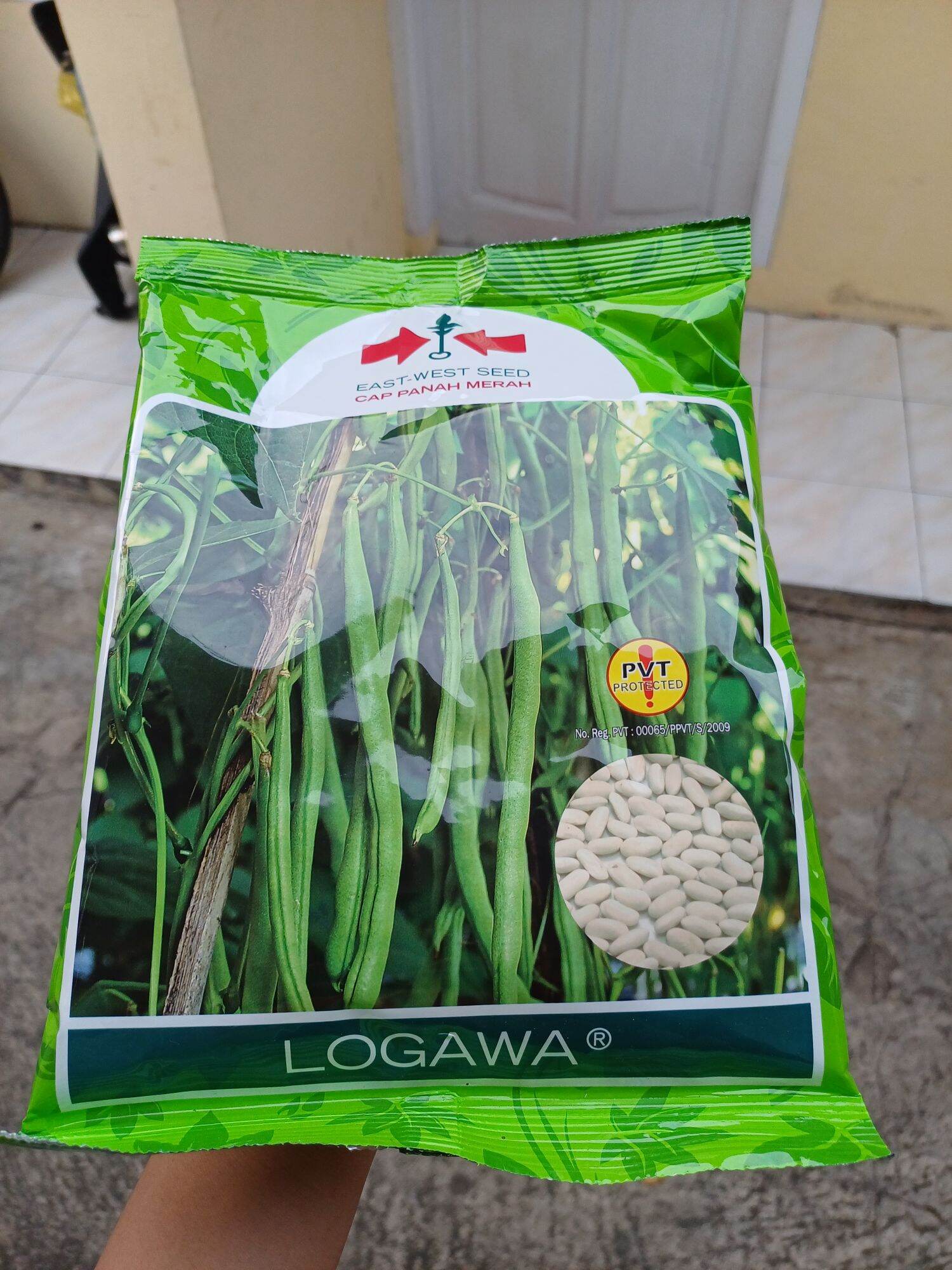 Benih Buncis Logawa Cap Panah Merah | Lazada Indonesia