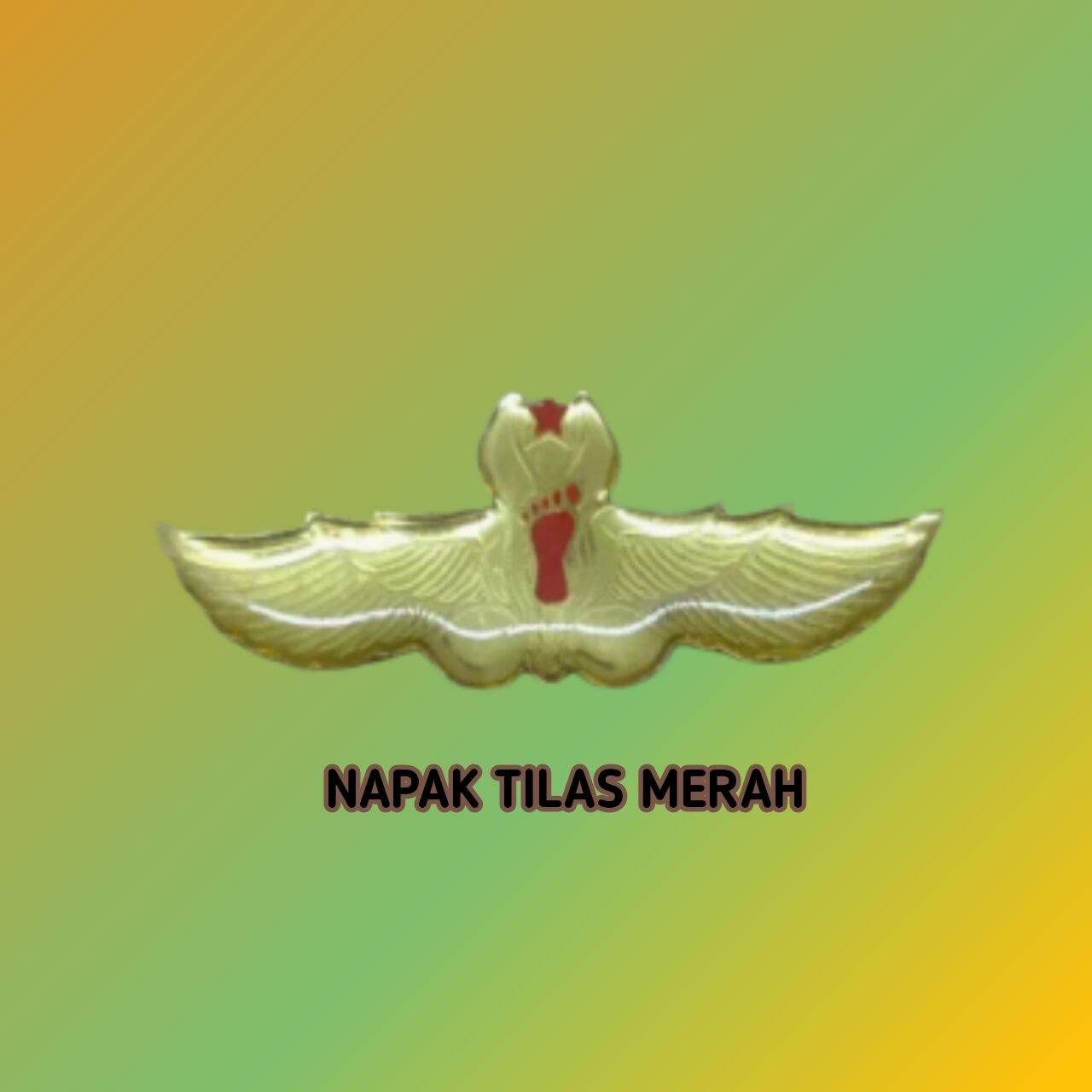WINGS NAPAK TILAS PRAMUKA | Lazada Indonesia