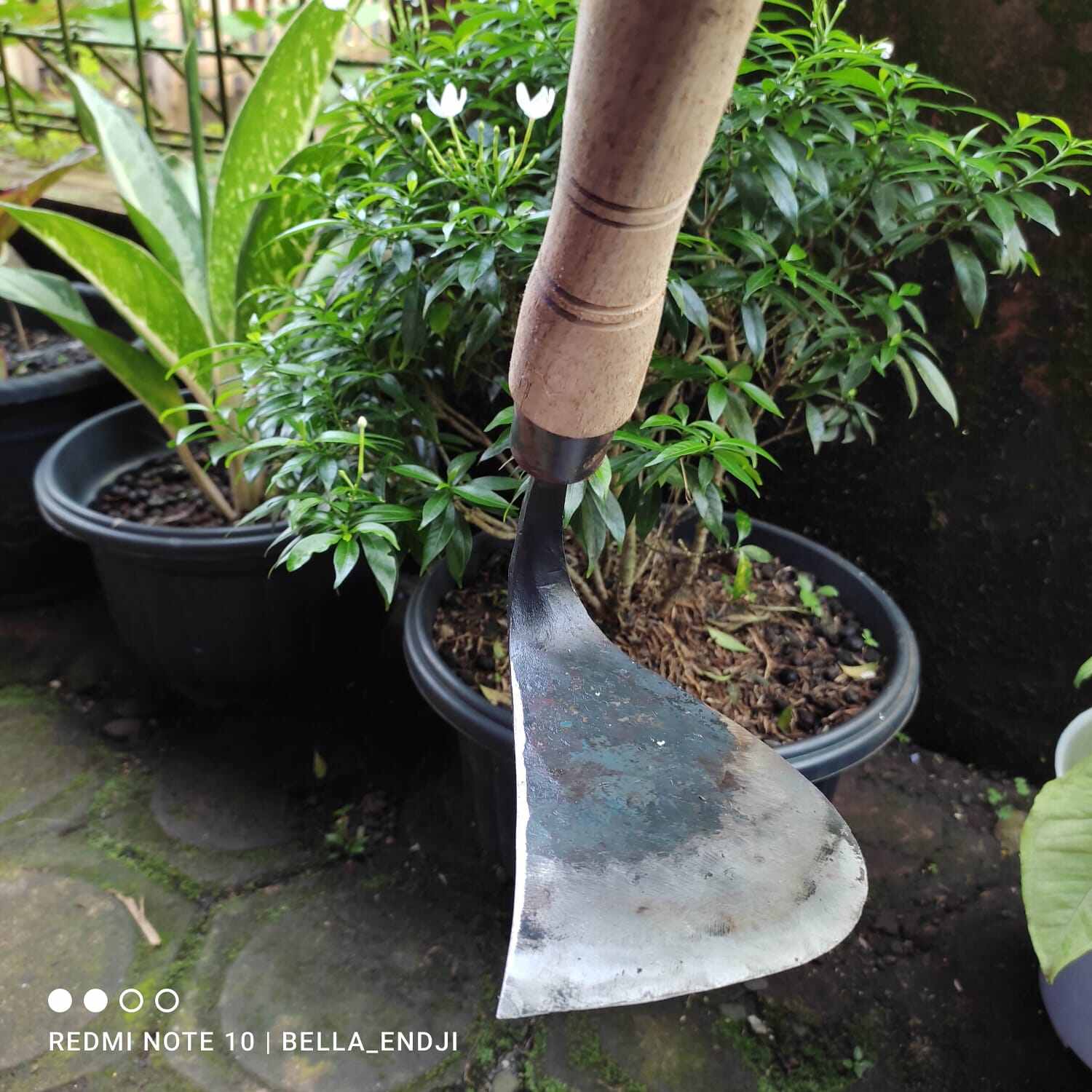 cungkir/pancong/koret | Lazada Indonesia
