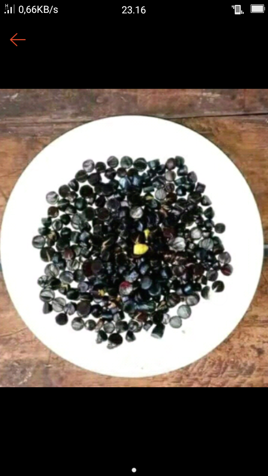 Buah jolang jaling, netto 1 kg | Lazada Indonesia