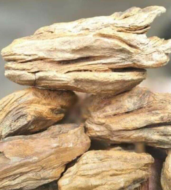 Bobing stone Batu bobing bobbing aquascape 1 kg | Lazada Indonesia