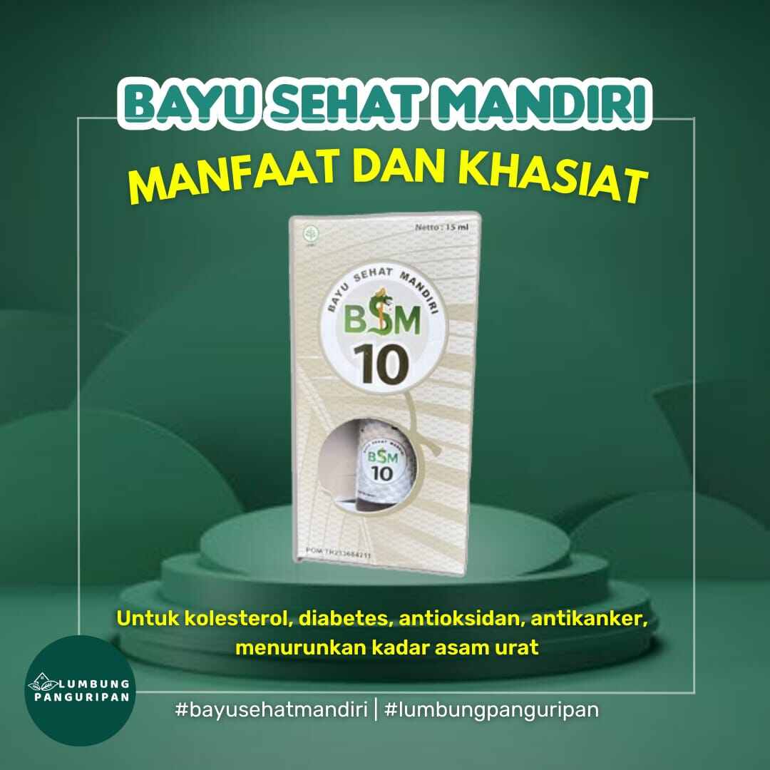 Bayu sehat mandiri BSM 10 | Lazada Indonesia