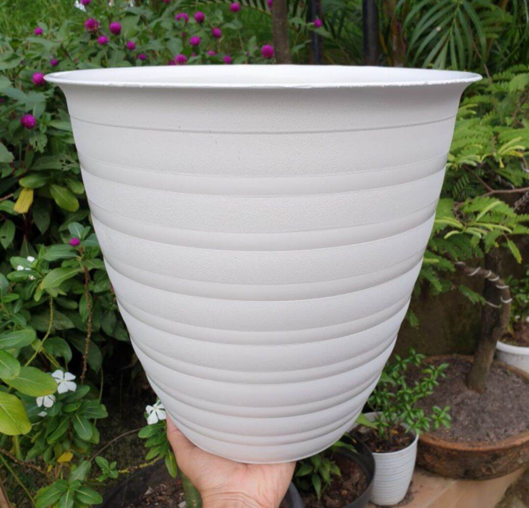 POT BUNGA TAWON PIRUS RUBI UK30 BESAR GROSIR : pot bunga tawon 30 cm ...