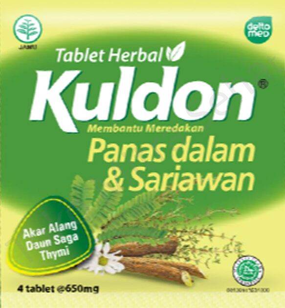 KULDON OBAT PANAS DALAM DAN SARIAWAN isi 4 tablet / OBAT SARIAWAN ...