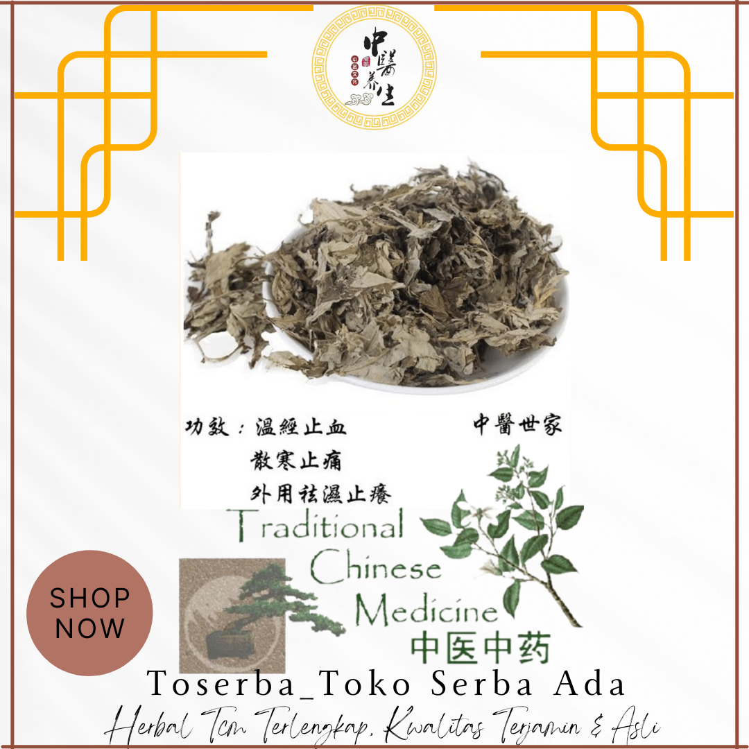 100gr Herbal Ai Cao 艾草 Artemisia Argyi Mugwort Folium Artemisiae Argyi ...