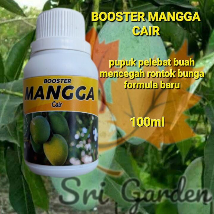 Pupuk mangga cair agar cepat berbuah mencegah rontok bunga pupuk booster mangga cair pupuk ...