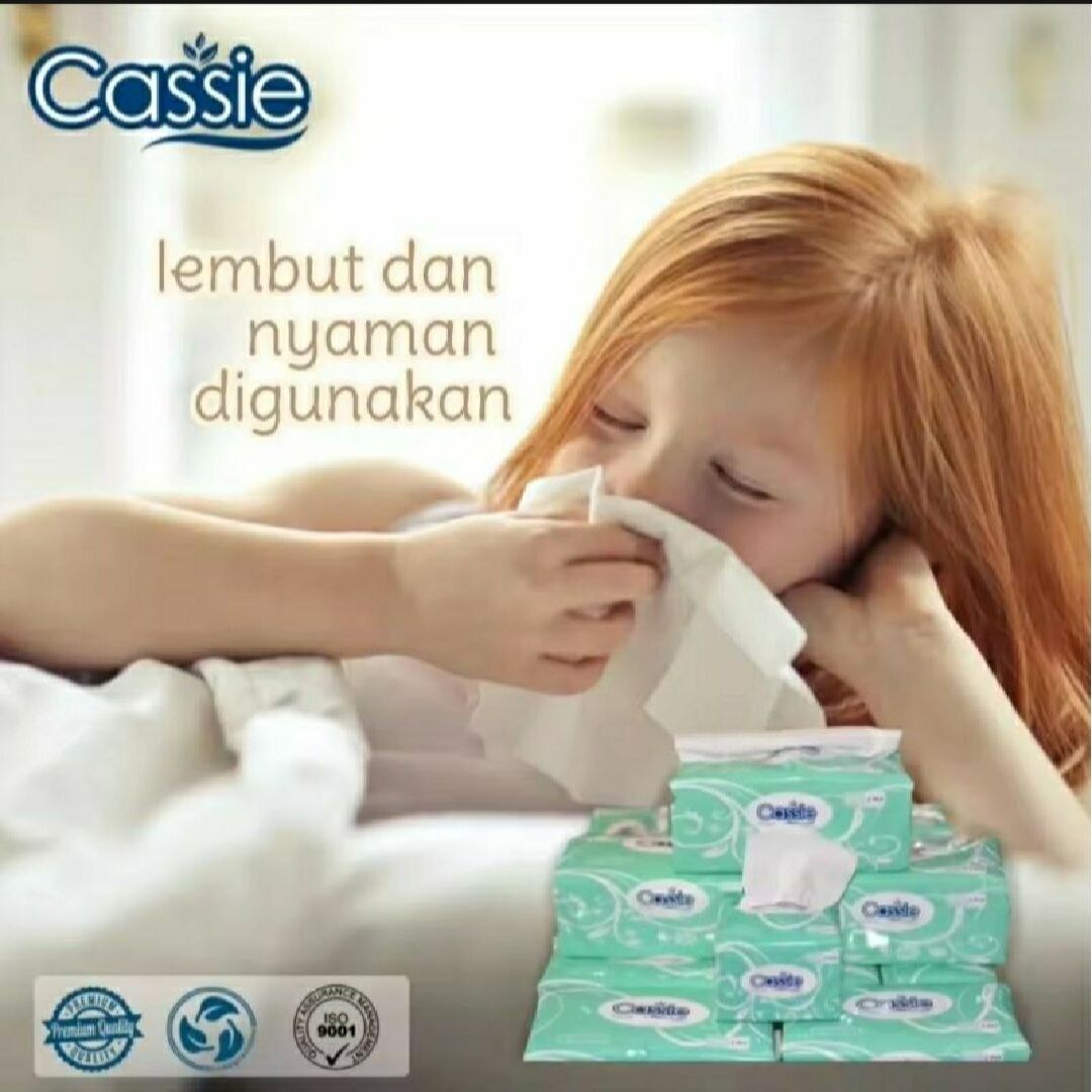 CASSIE FACIAL TISSUE / TISU WAJAH CASSIE 2PLY 200SHEETS 200GR | Lazada ...