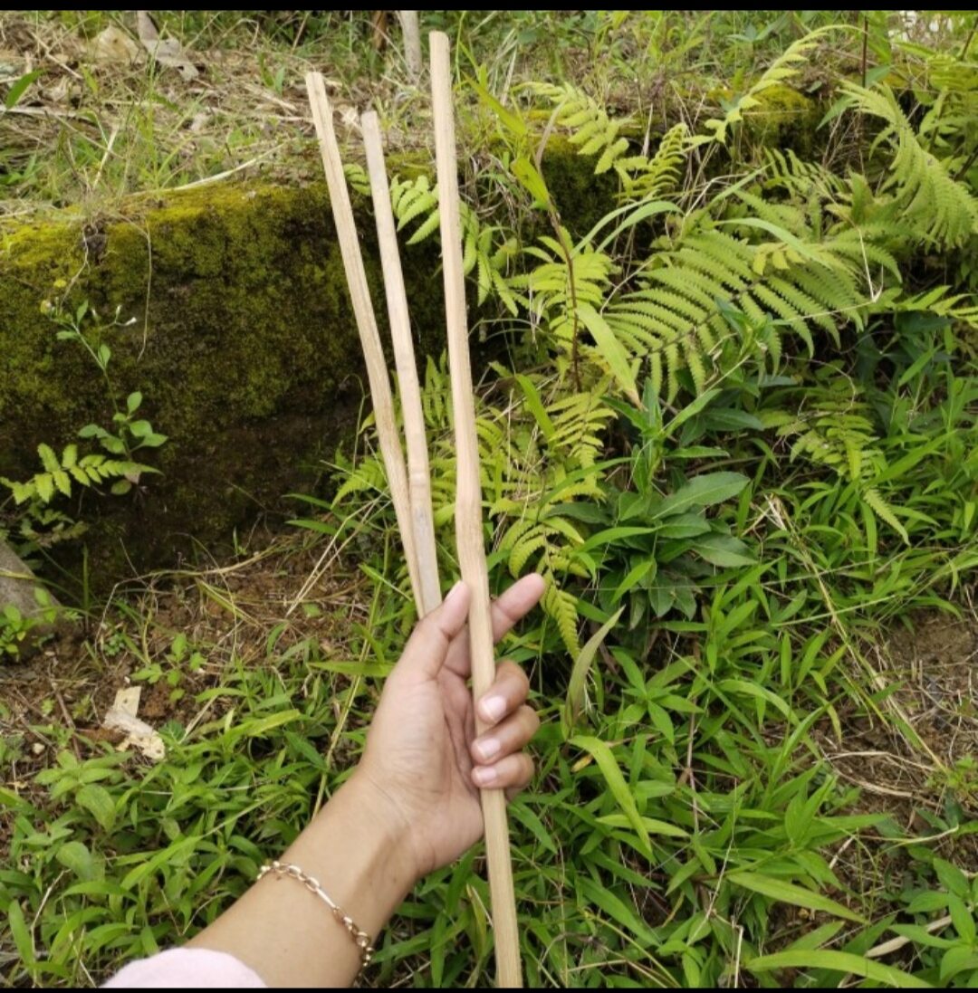 turus tanaman bambu polos, ajir tanaman stik bambu | Lazada Indonesia