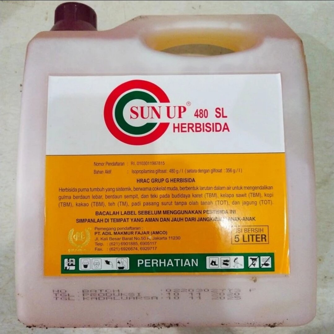 Herbisida SUN UP 480SL kemasan 5L | Lazada Indonesia