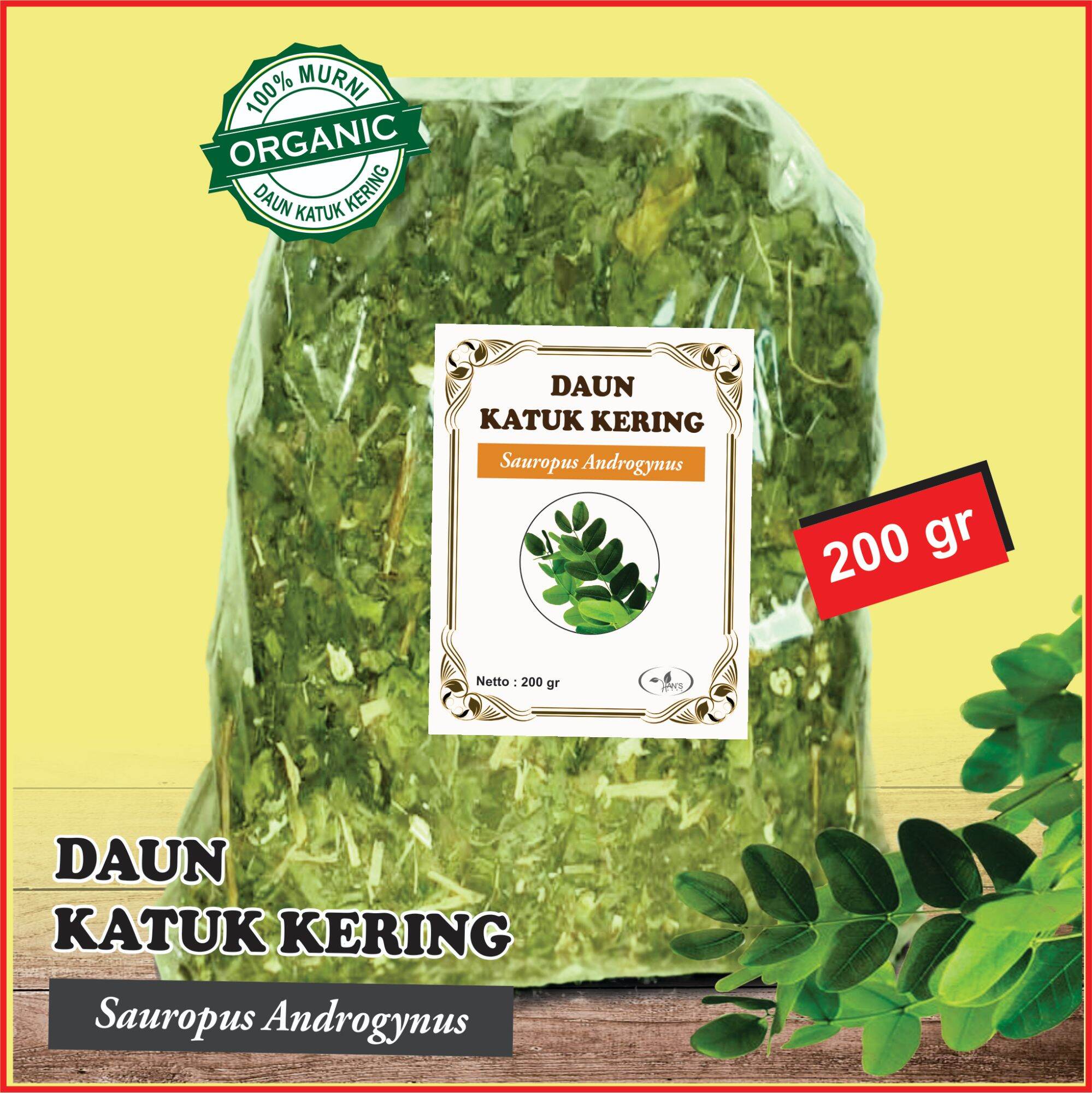 daun katuk/daun katuk kering/Sauropus Androgynus. 200 gram | Lazada ...