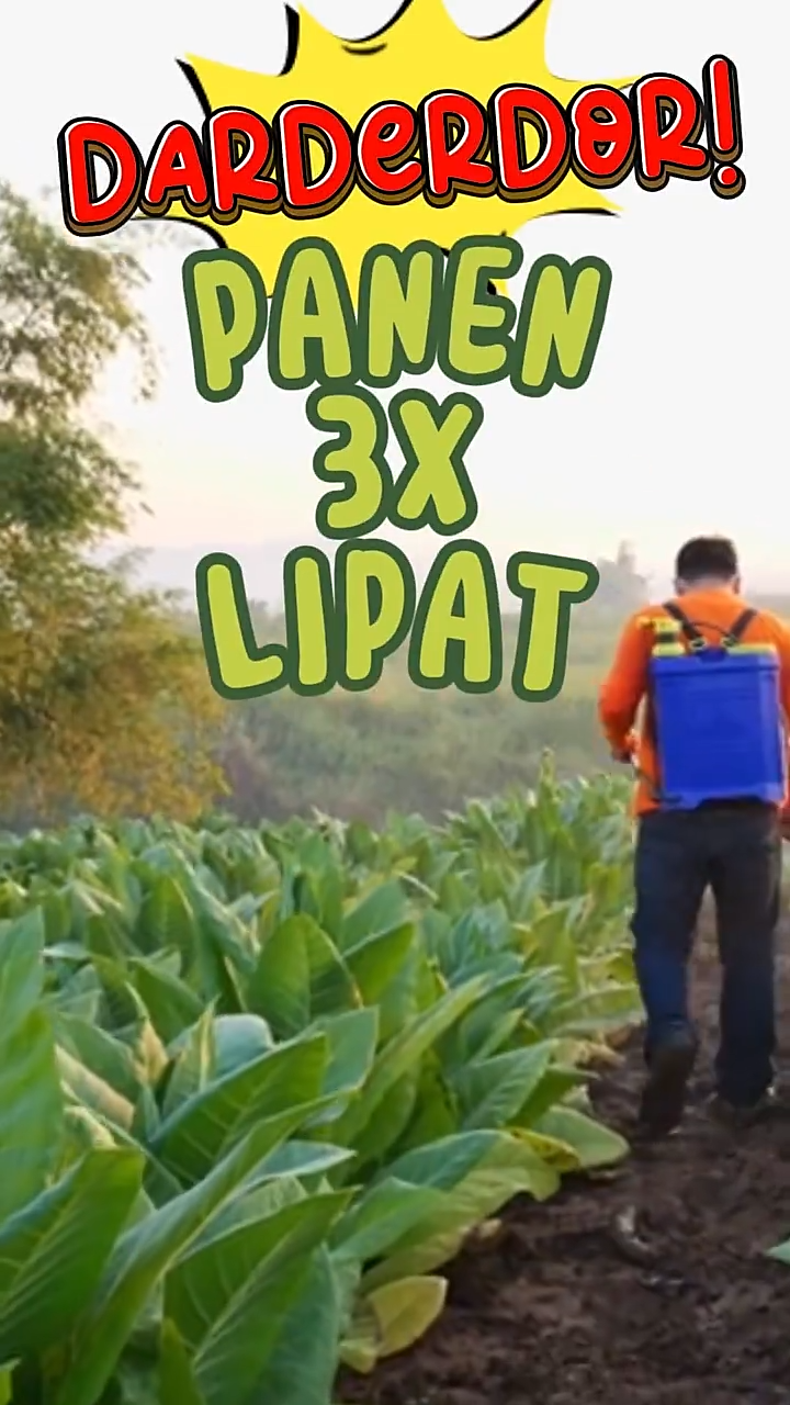 AGRO KING - STIMULANT - Pupuk Merangsang dan Memperbanyak Jumlah Tunas ...