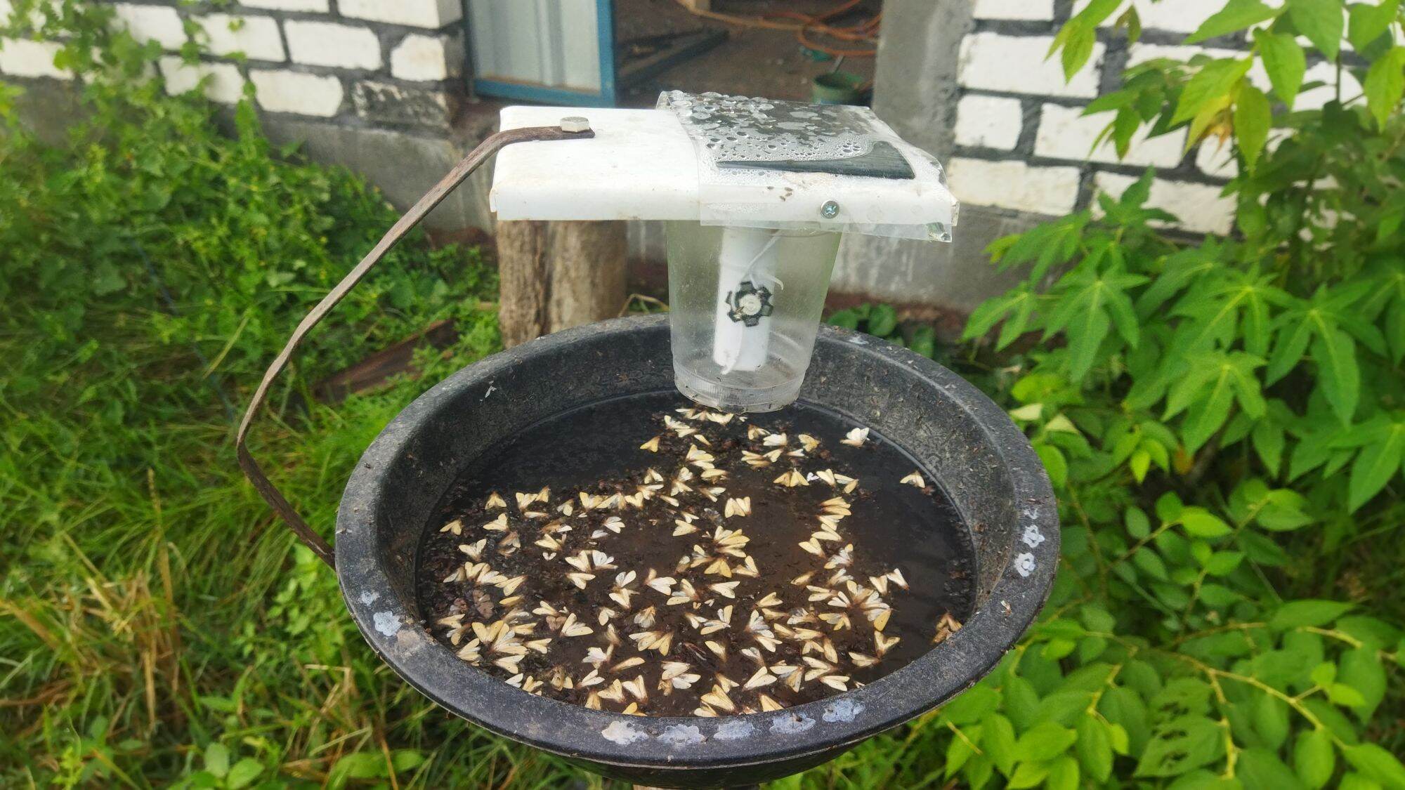 perangkap hama energi matahari/ led hpl ( untuk pemasangan di tepi ...
