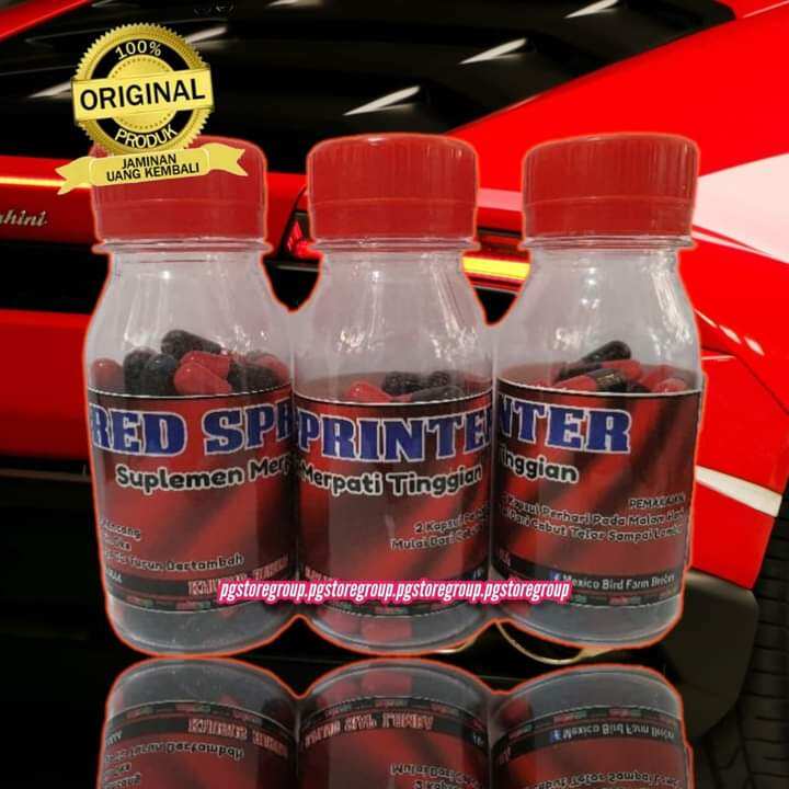 Red Sprinter Mexico Kusus Merpati Siap Lomba isi 50 Kapsul | Lazada ...