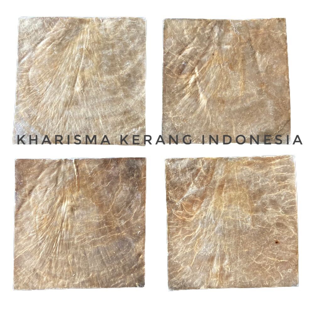 KHARISMA KERANG INDONESIA - NATURAL CAPIZ SHELL SOFTENING KERANG ...