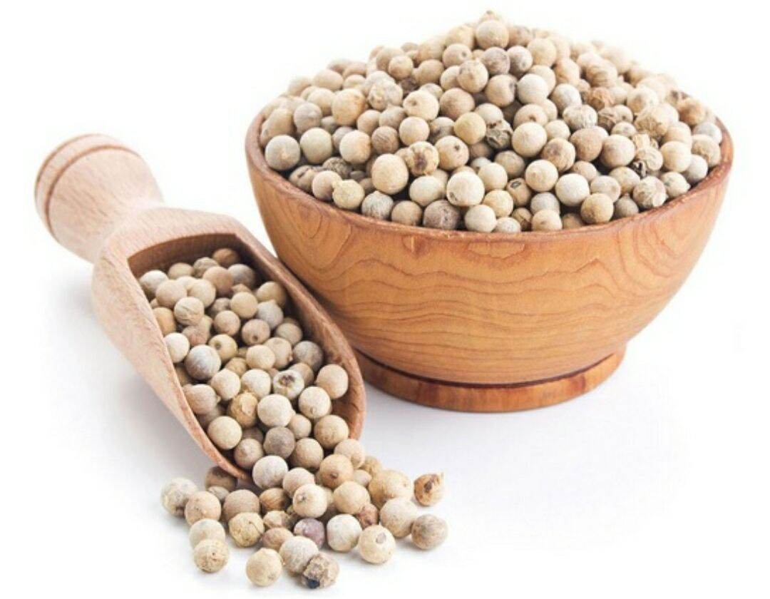 Lada Bulat Putih 500 gr | Lazada Indonesia