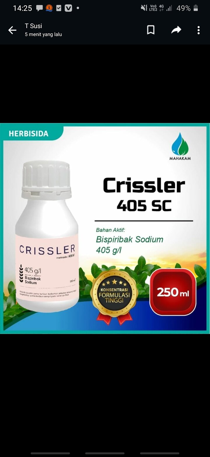 CRISSLER 405 SC , HERBISIDA SELEKTIF SISTEMIK PURNA TUMBUH | Lazada ...