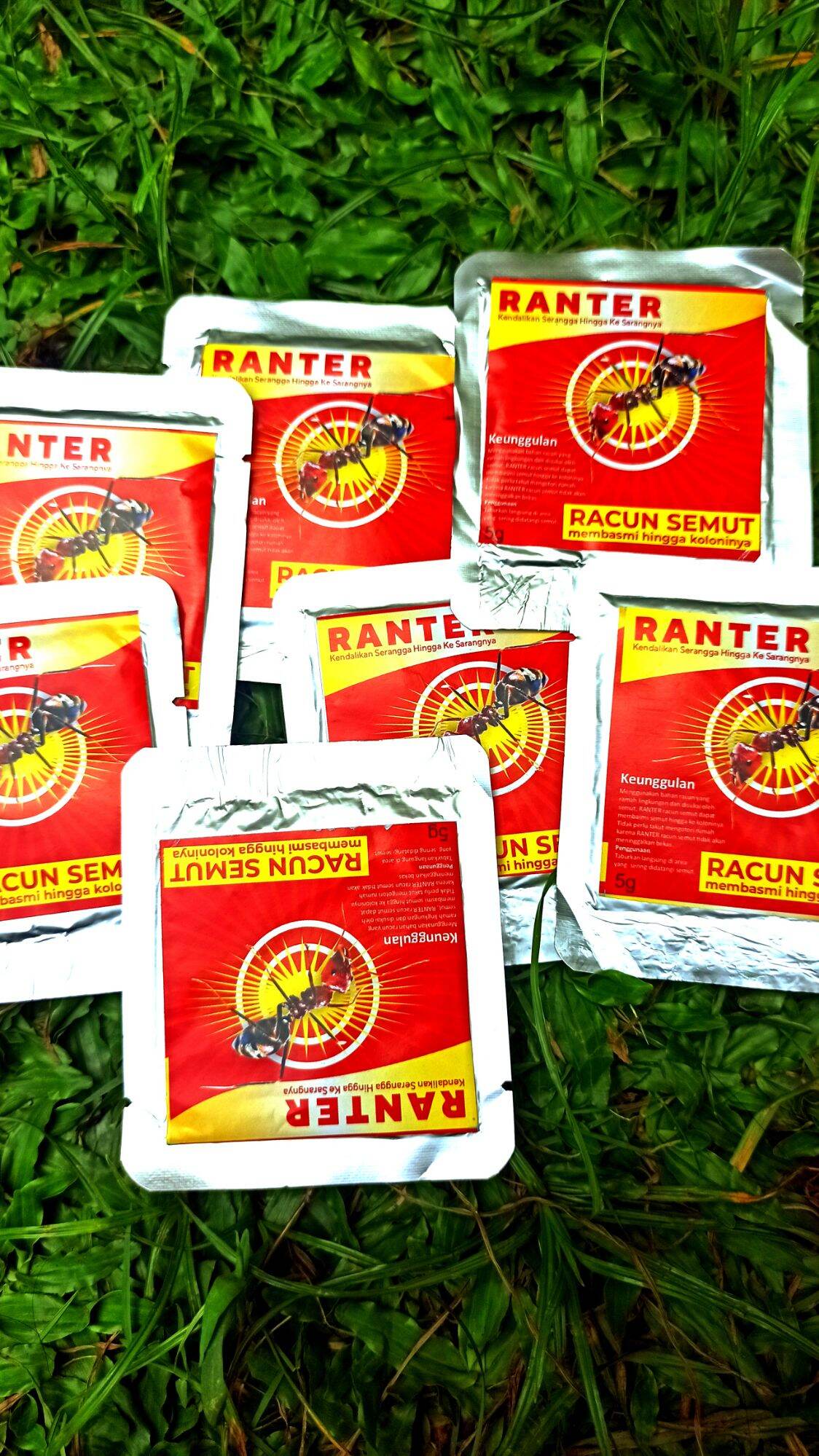 Racun Semut - Racun Semut Koloni 5gr | Lazada Indonesia