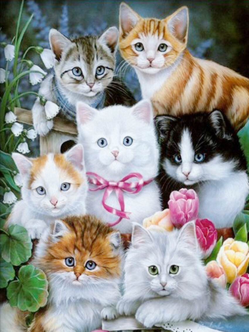 Poster Cetak, KUCING LUCU & IMUT, Ukuran JUMBO, 150×100cm DAN 200×100cm ...