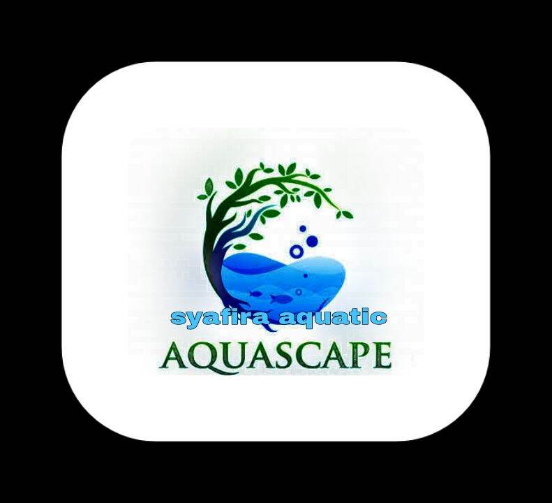 syafira putri jaya Toko resmi di Indonesia, Online Shop 05 2025