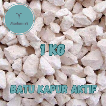 Batu Gamping Kapur 1 kg Super Aktif / Batu Kapur / Apu | Lazada Indonesia