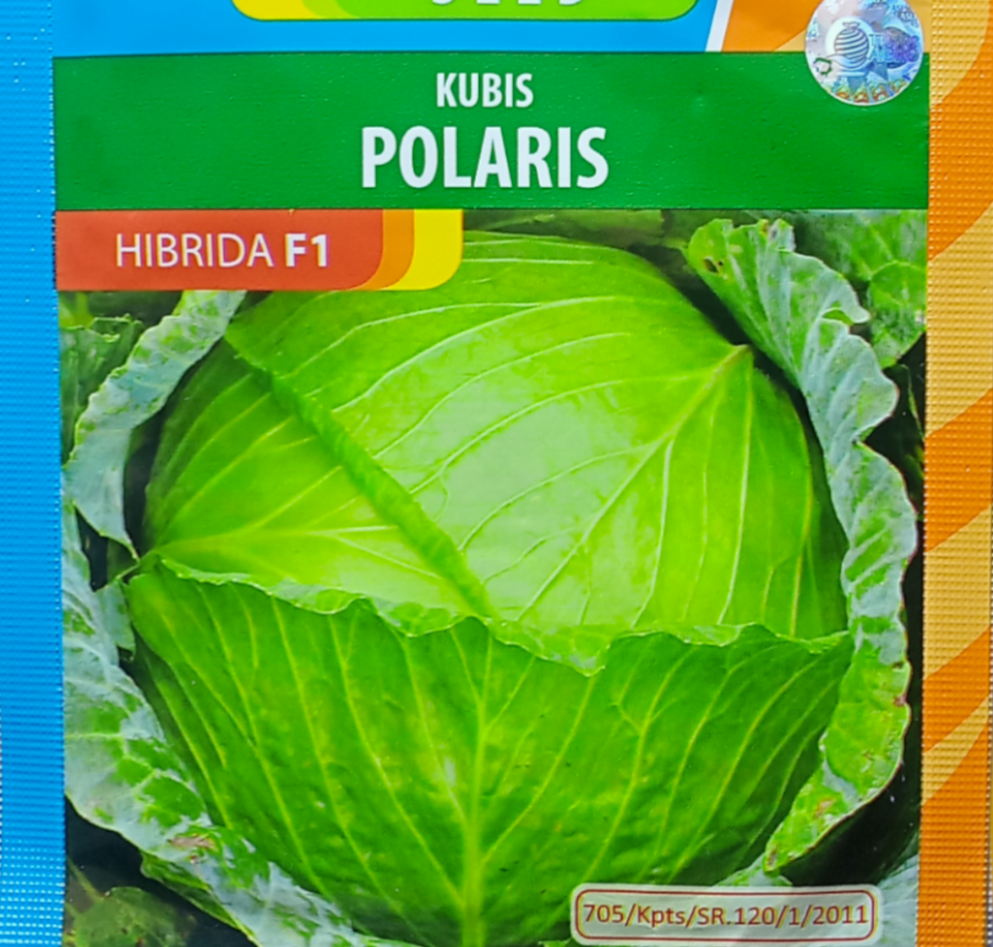 50 Butir BENIH KUBIS POLARIS ( Kemasan Repack ) | Lazada Indonesia