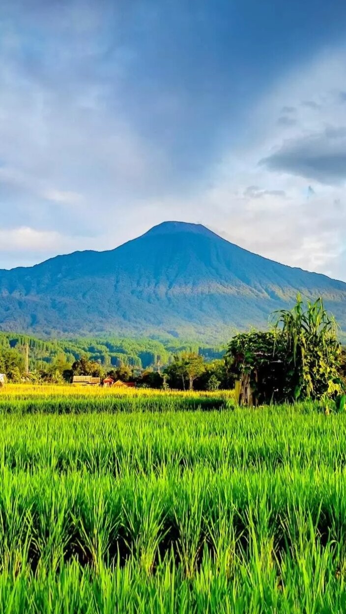 Poster cetak Pemandangan Gunung Slamet, lukisan Gunung Slamet untuk ...