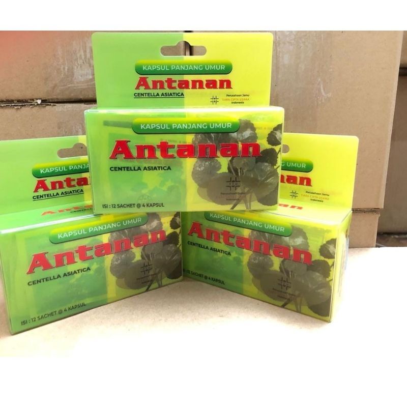 ANTANAN kapsul isi 12 sahcet antanan kapsul panjang umur | Lazada Indonesia