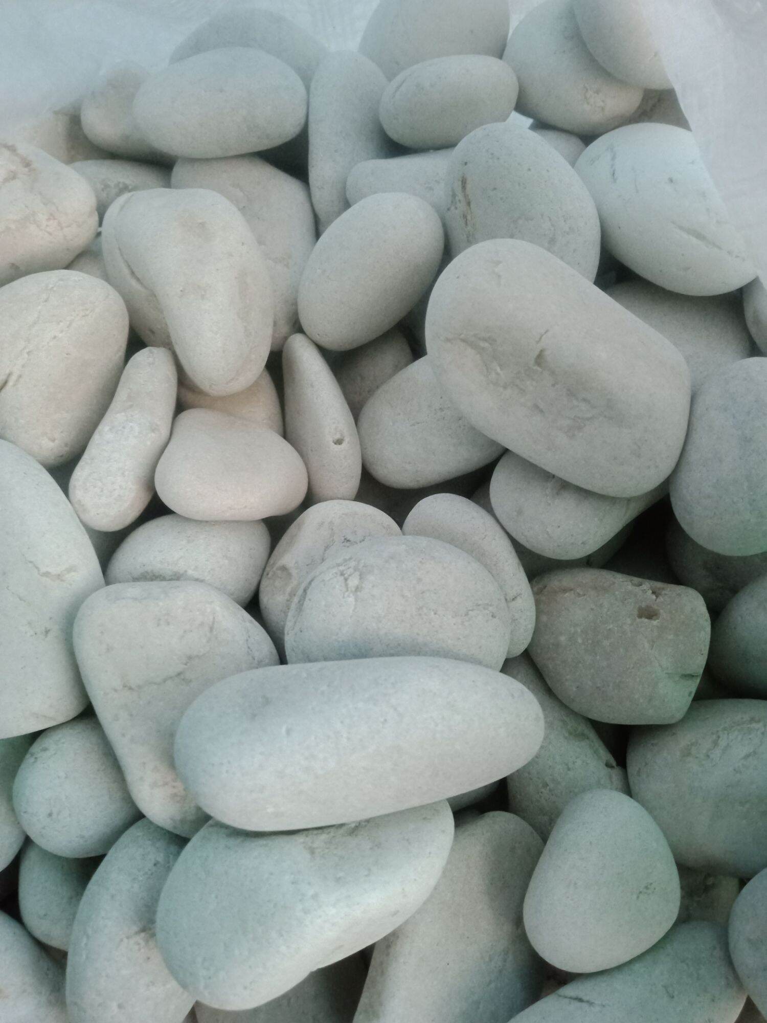 Batu koral putih ukuran besar 1kg | Lazada Indonesia