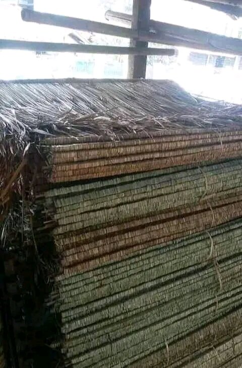 ATAP ALANG-ALANG ATAP RUMBIA 110CM | Lazada Indonesia