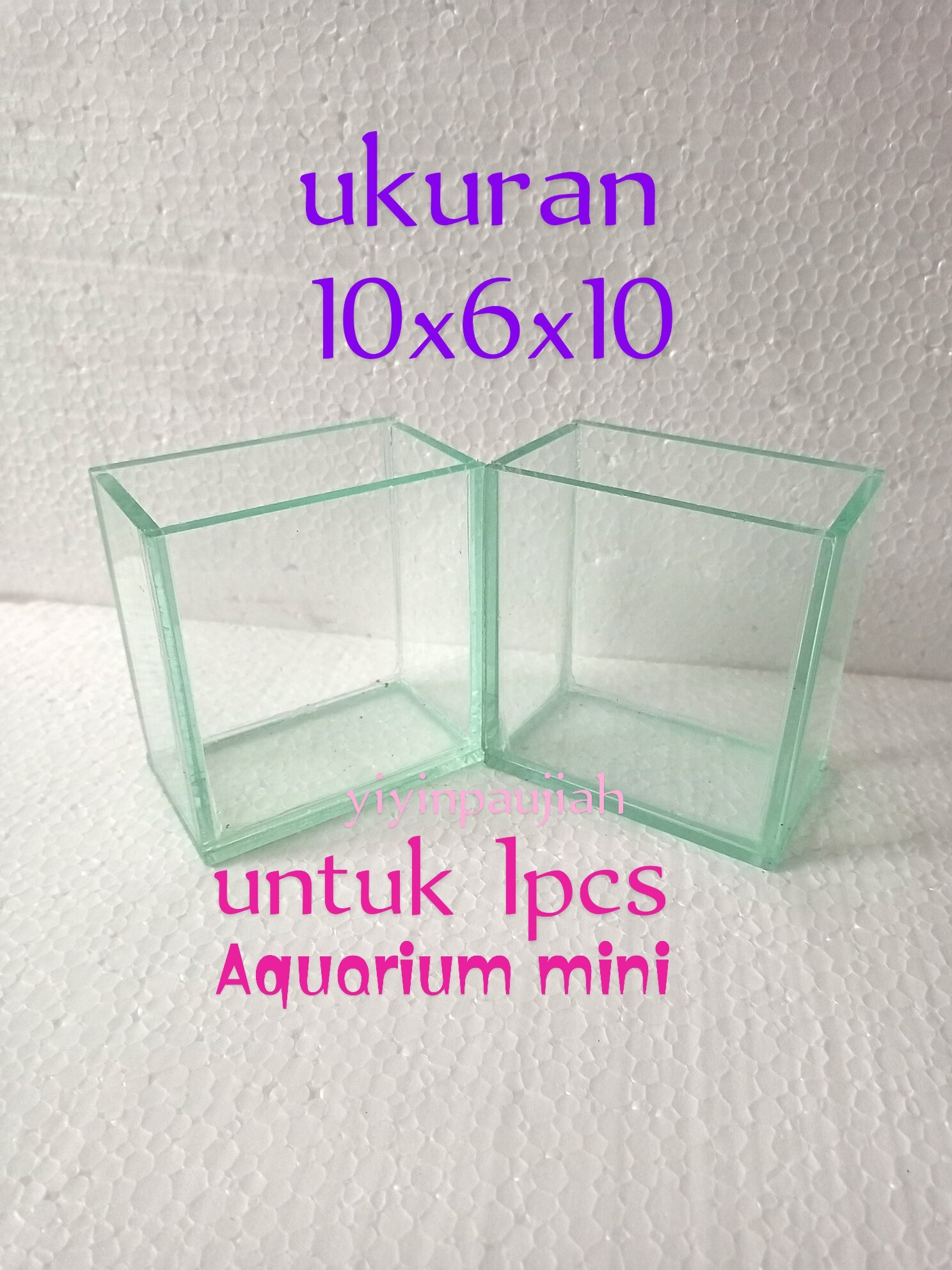 Soliter ikan cupang soliter selvi mini soliter polos aquarium mini ...