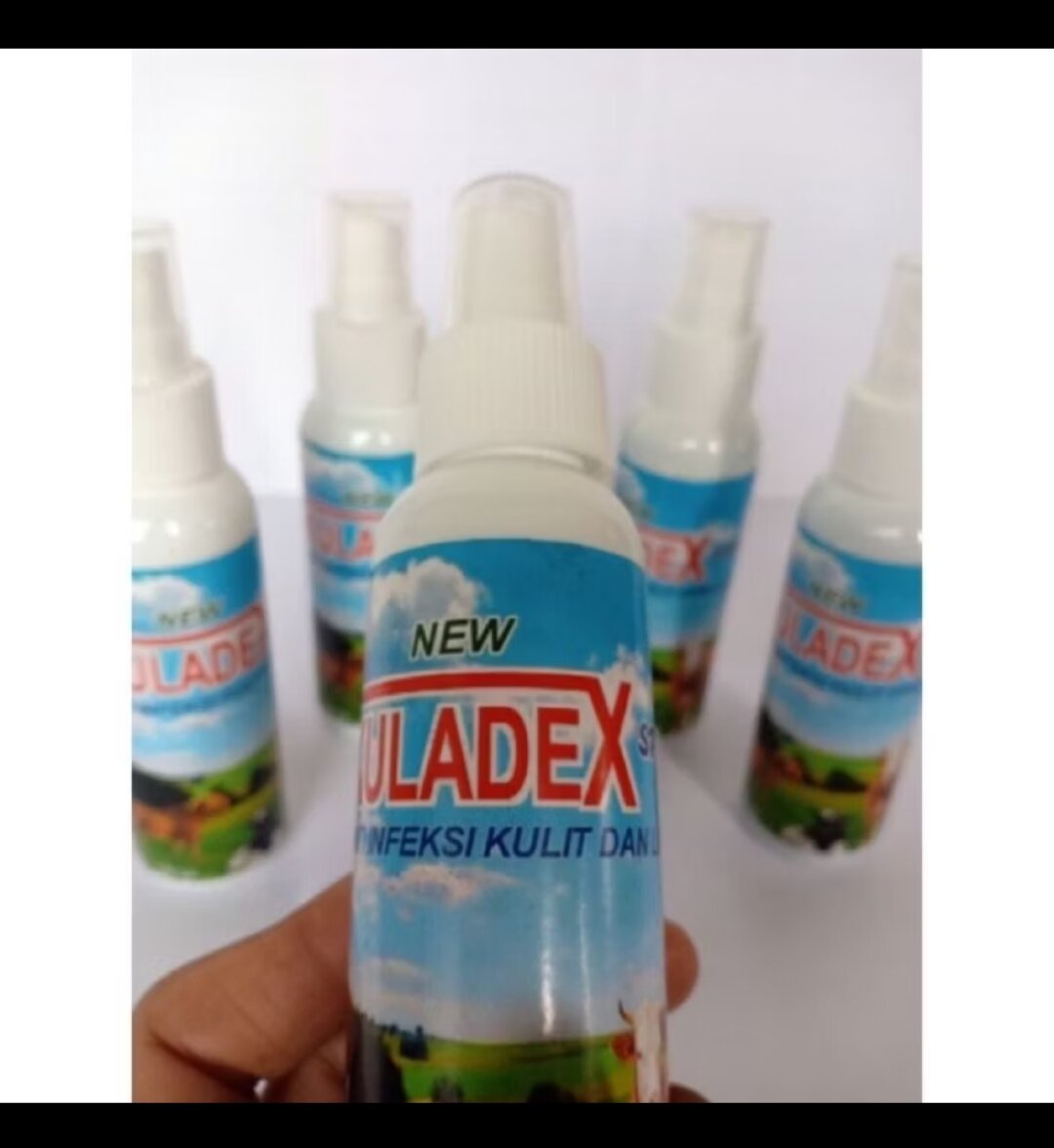 kuladex obat koreng sapi spray anti luka lalat hewan ternak sapi kerbau ...
