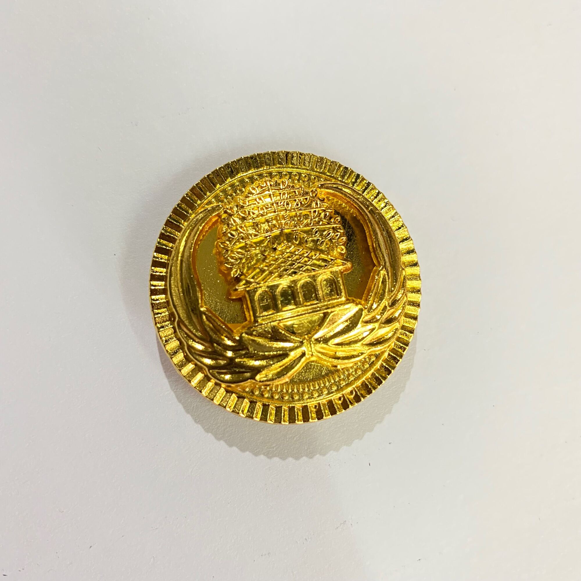 Pin Korpri Magnet - Pin Korpri Emas - Pin Korpri PNS | Lazada Indonesia