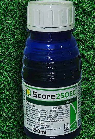 Fungisida Score 250 ec | Lazada Indonesia