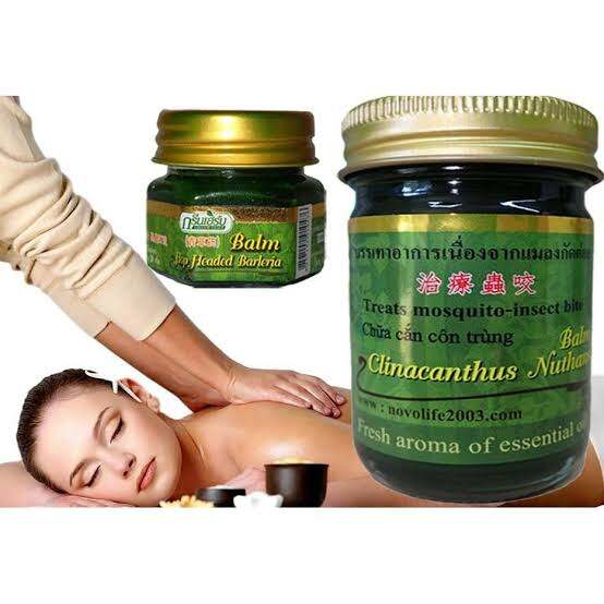 Balsem Balm Clinacanthus Nuthans Balsem Thailand Original | Lazada ...