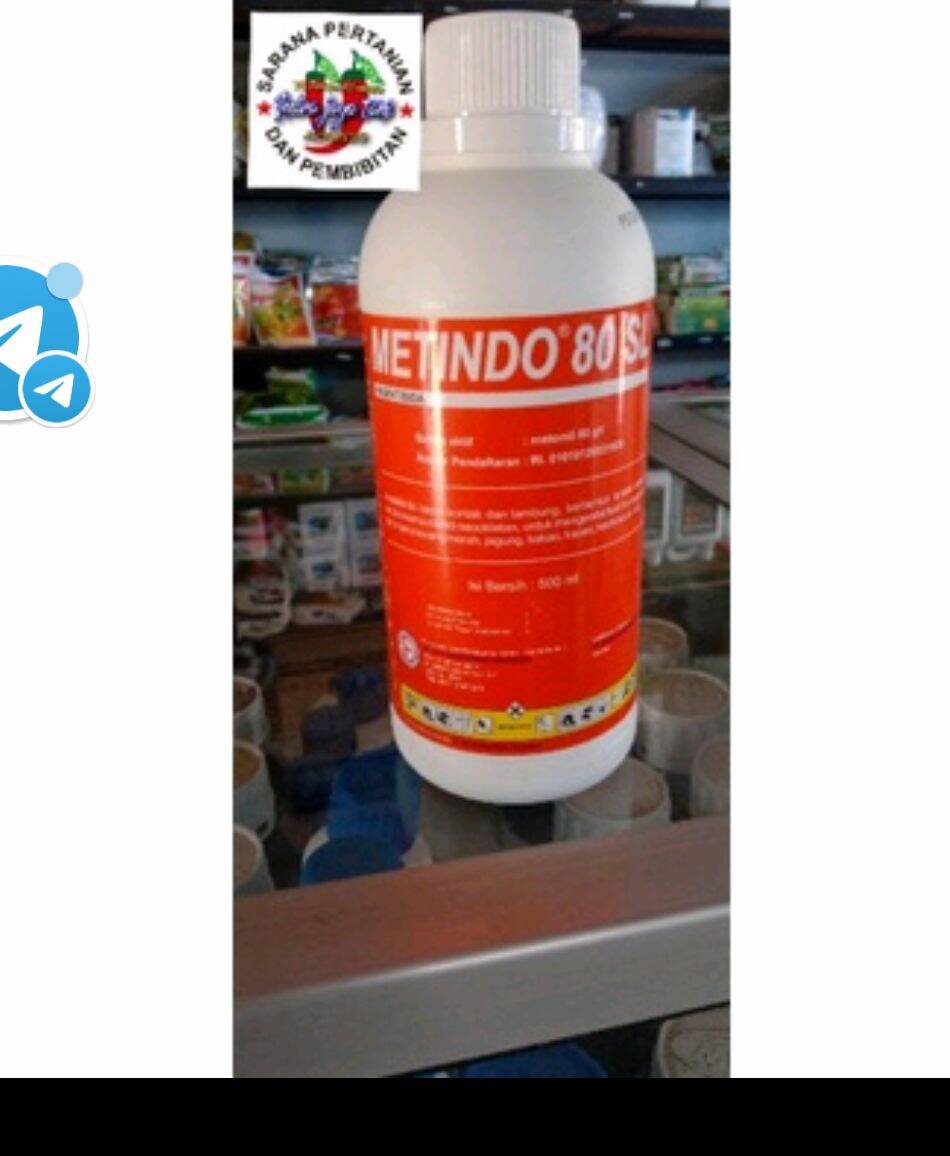 INSEKTISIDA METINDO 80SL 500ML | Lazada Indonesia